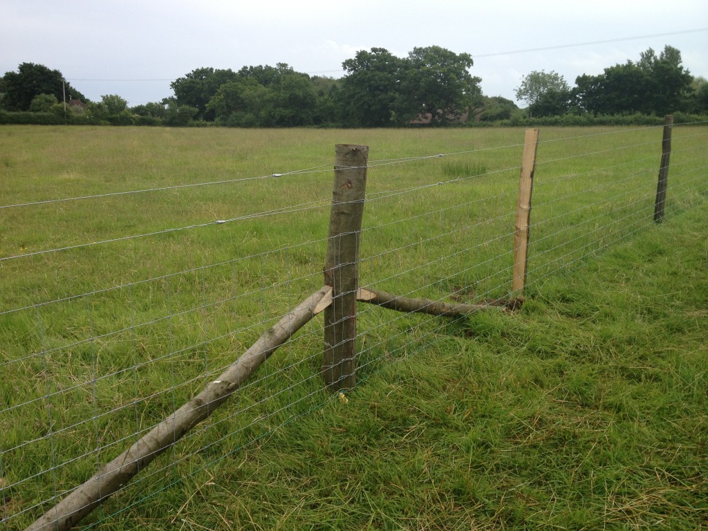 Ht stockfence on chestnut - Richard Stubbs Fencing Services